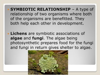 Nutrition in Plants Class 7 Chapter 1 | PDF