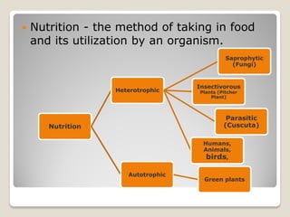 Nutrition in Plants Class 7 Chapter 1 | PDF