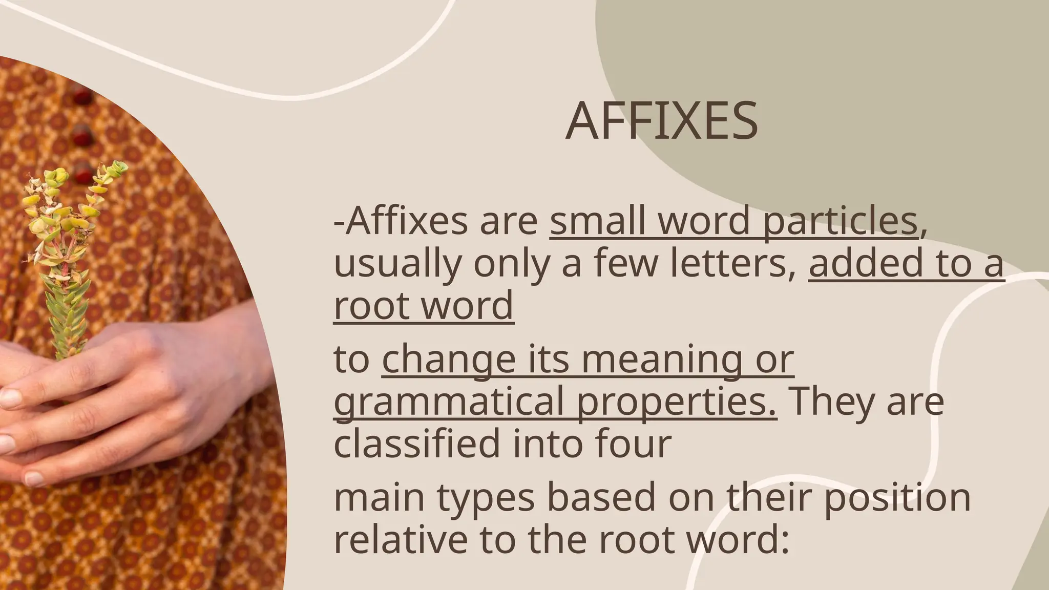 Poetry Context Clues, Affixes and Author | PPTX