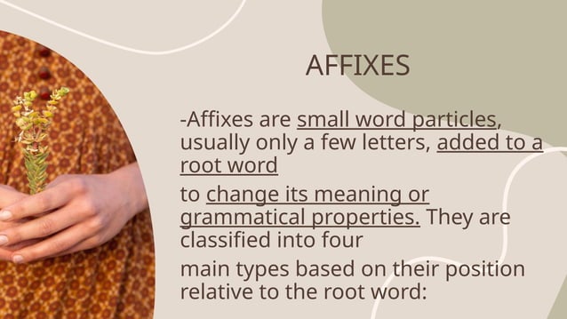 Poetry Context Clues, Affixes and Author | PPTX