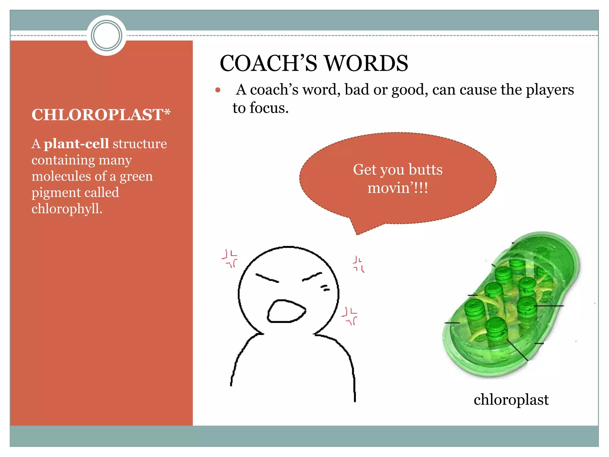 Gr8 hannah-cellanalogy | PPTX