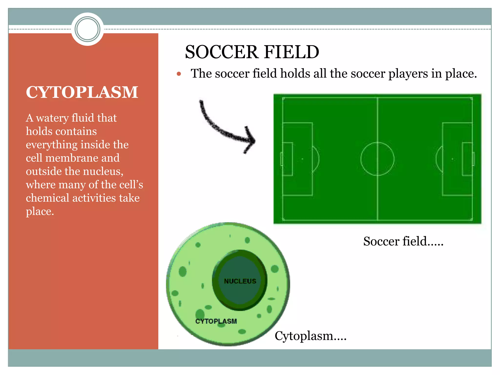 Gr8 hannah-cellanalogy | PPTX