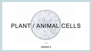 Natural Sciences Plant/Animal Cells Grade 9.pptx