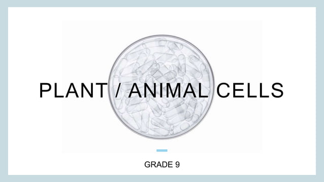Natural Sciences Plant/Animal Cells Grade 9.pptx | Biological Sciences ...