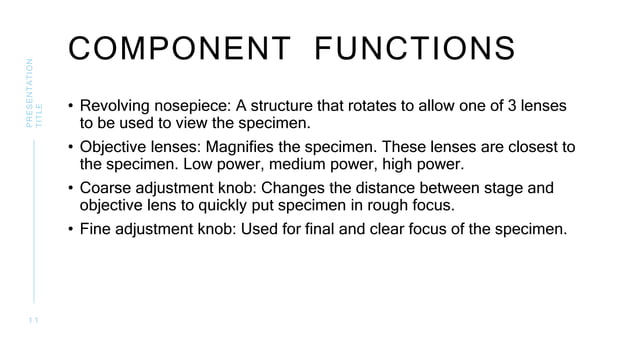 Natural Sciences Plant/Animal Cells Grade 9.pptx | Biological Sciences ...