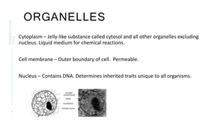 Natural Sciences Plant/Animal Cells Grade 9.pptx