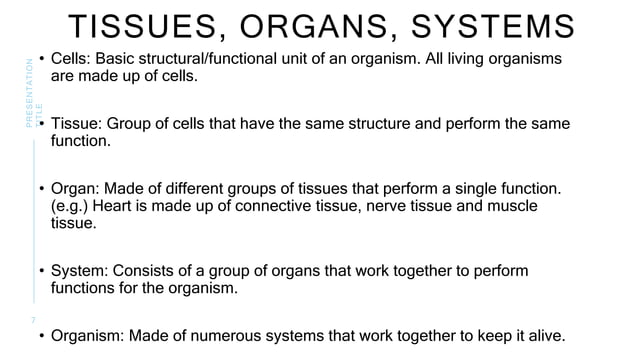 Natural Sciences Plant/Animal Cells Grade 9.pptx | Biological Sciences ...