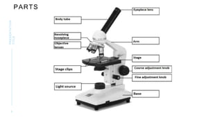 Natural Sciences Plant/Animal Cells Grade 9.pptx