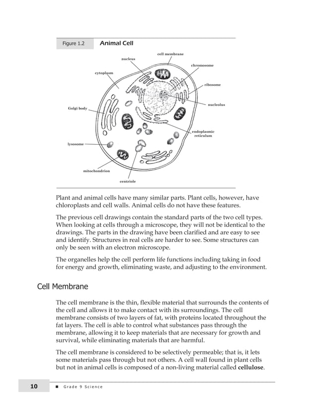 Grade 9 SCIENCE | PDF
