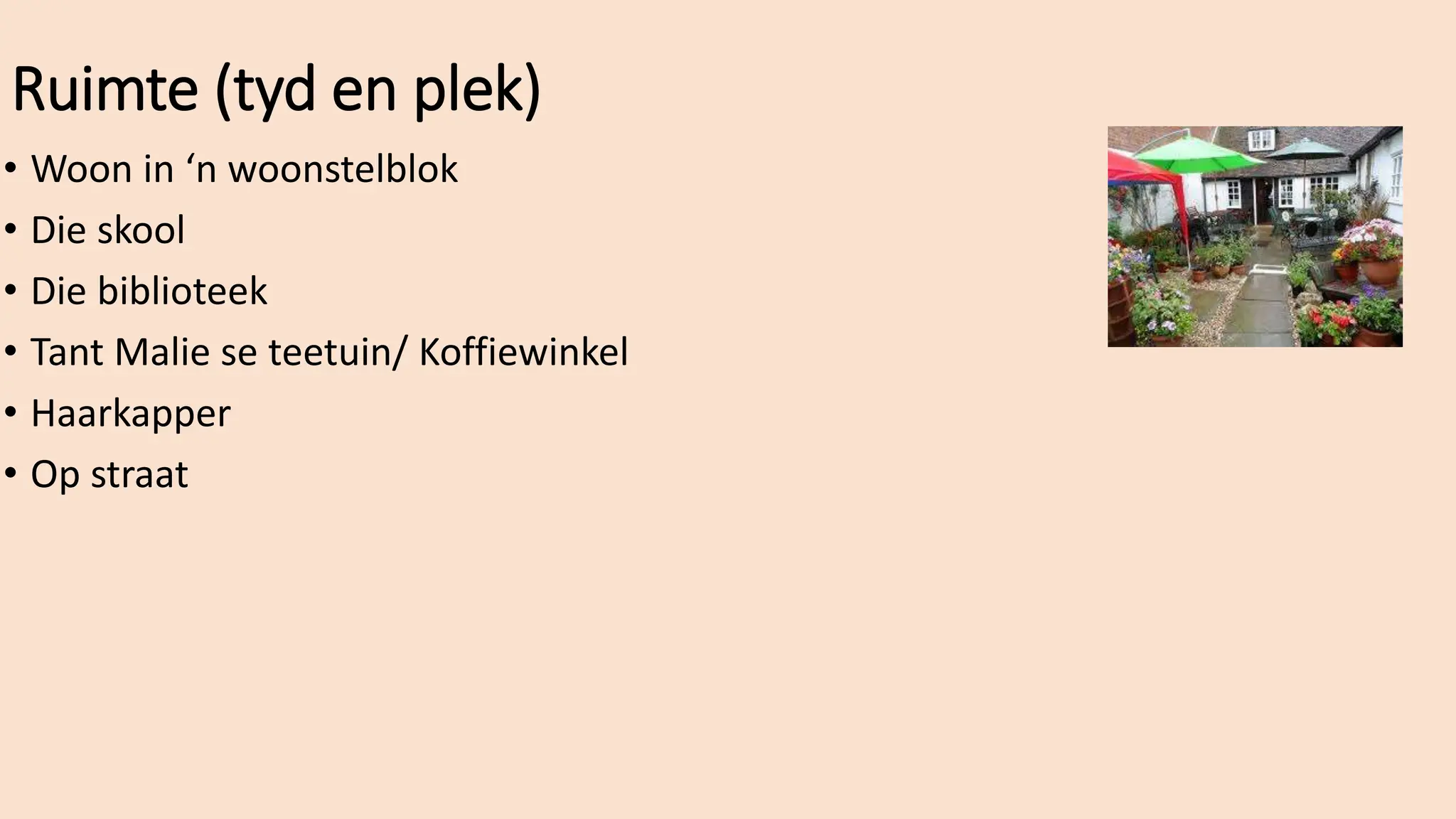 Graad 12 EAT Lien se lankstaanskoene. Audia.pptx
