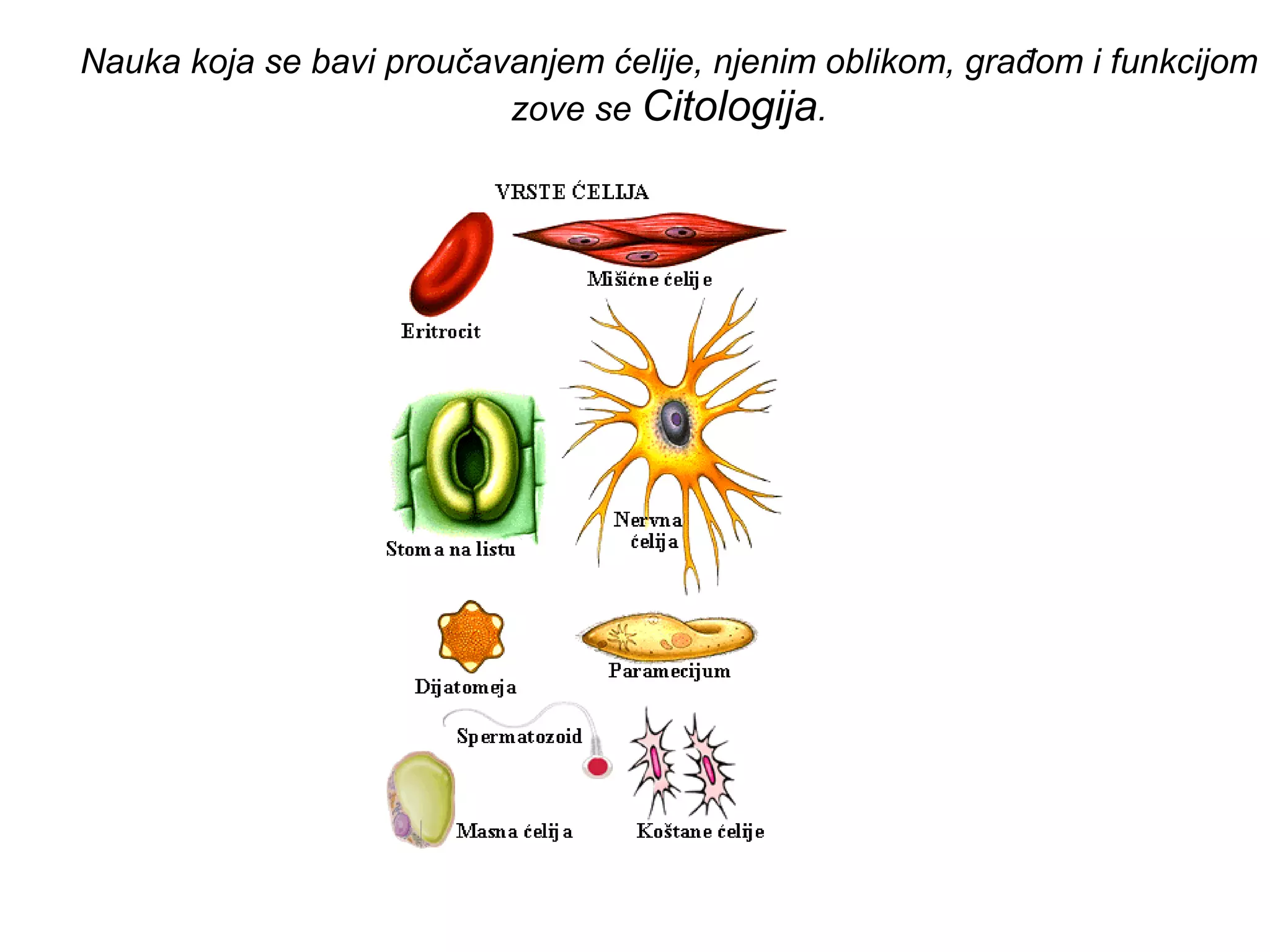 Građa ćelije | PPT