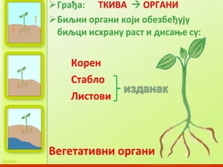 GRAĐA ŽIVIH BIĆA spoljašnja i unutrašnja.pptx