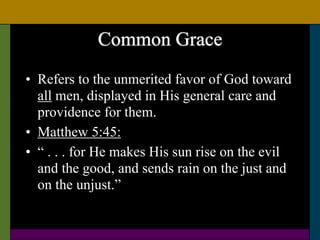 Grace, Common and Effectual | PDF