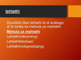 Grace micro lesson2 | PPTX