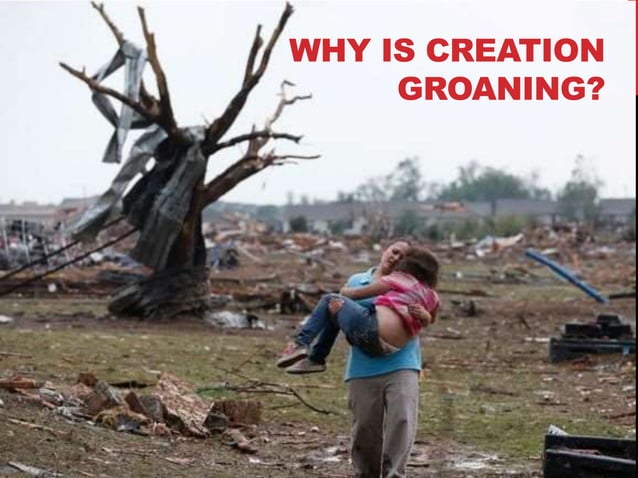 Gracious Jesus 23 The Golden Rule | PPT