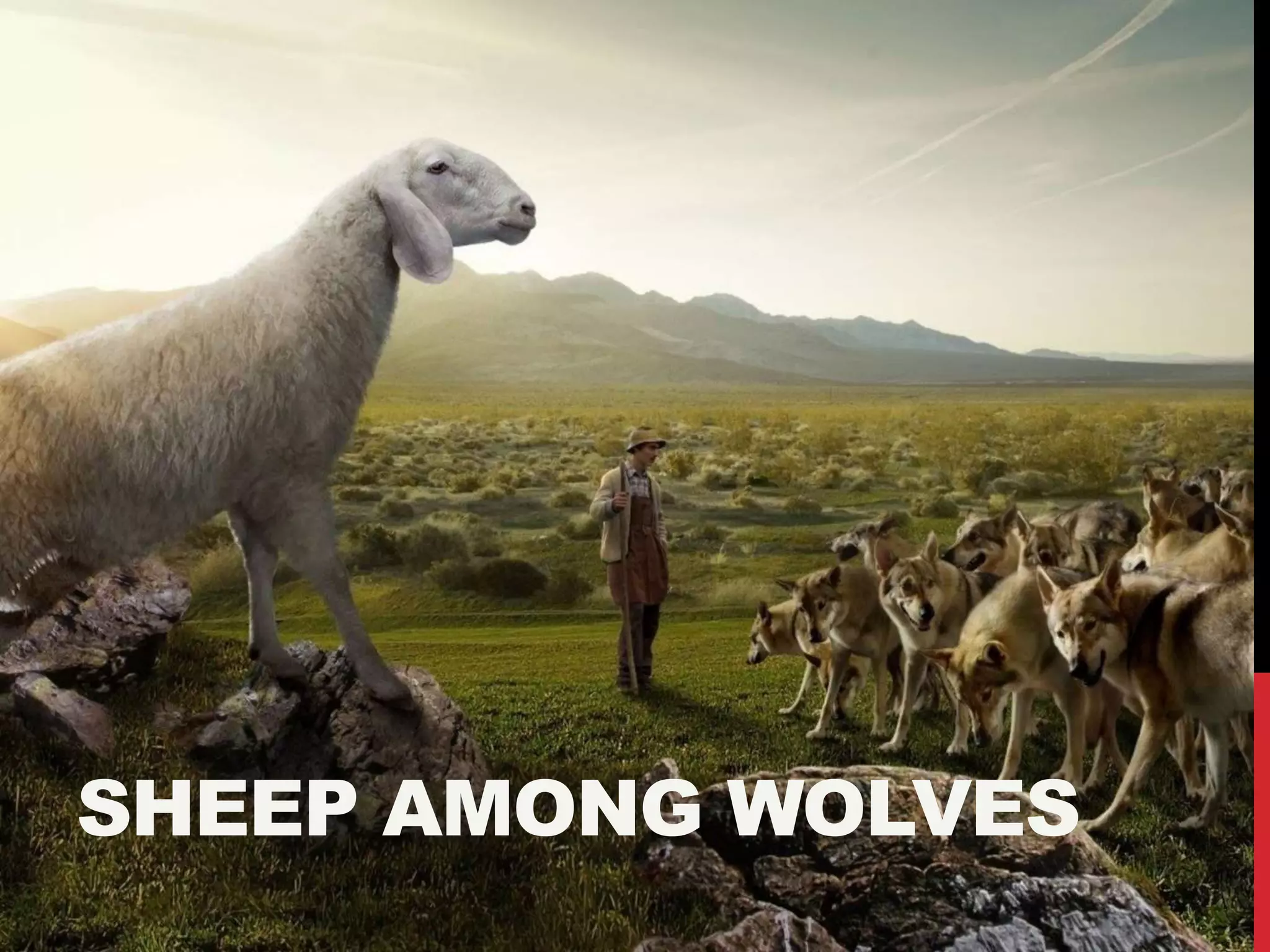 Gracious Jesus 39 Sheep among wolves | PPTX | Christianity | Religion ...