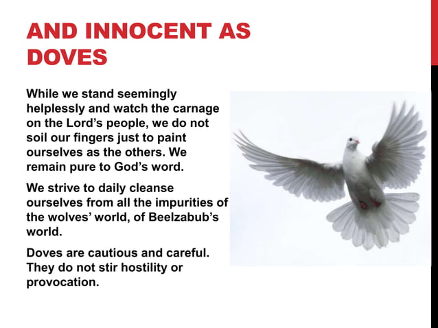 Gracious Jesus 39 Sheep among wolves | PPTX | Christianity | Religion ...