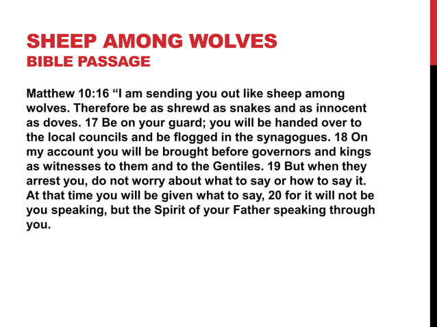 Gracious Jesus 39 Sheep among wolves | PPTX | Christianity | Religion ...