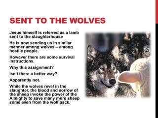 Gracious Jesus 39 Sheep among wolves | PPTX