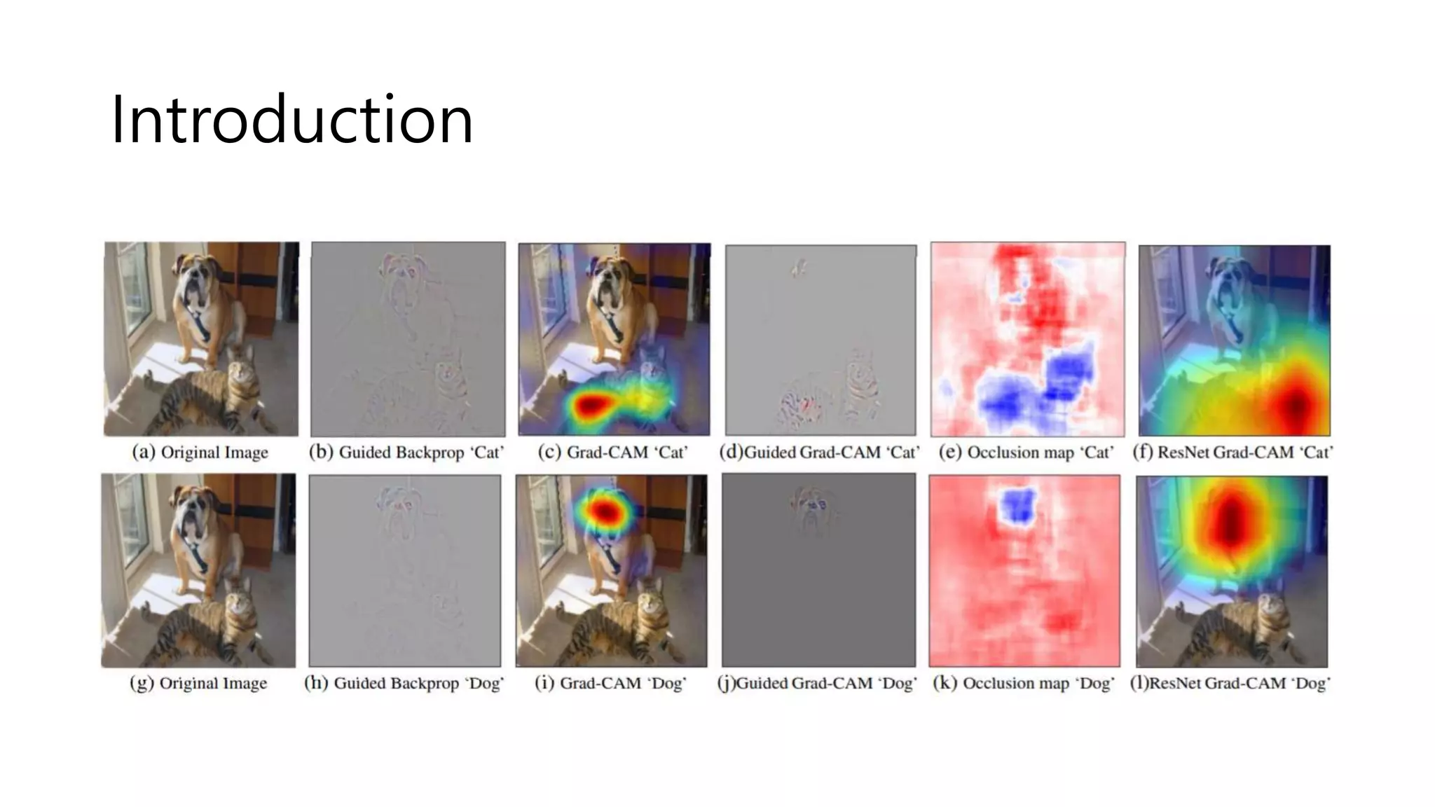 Grad Cam Visual Explanations From Deep Networks Via Gradient Based