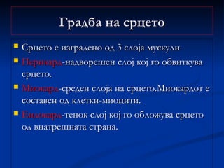 Gradba na srce laboranti | PPT