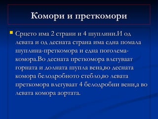 Gradba na srce laboranti | PPT