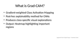 full CNN diagram, Grad-CAM heatmap GradCAM_Presentation.pptx