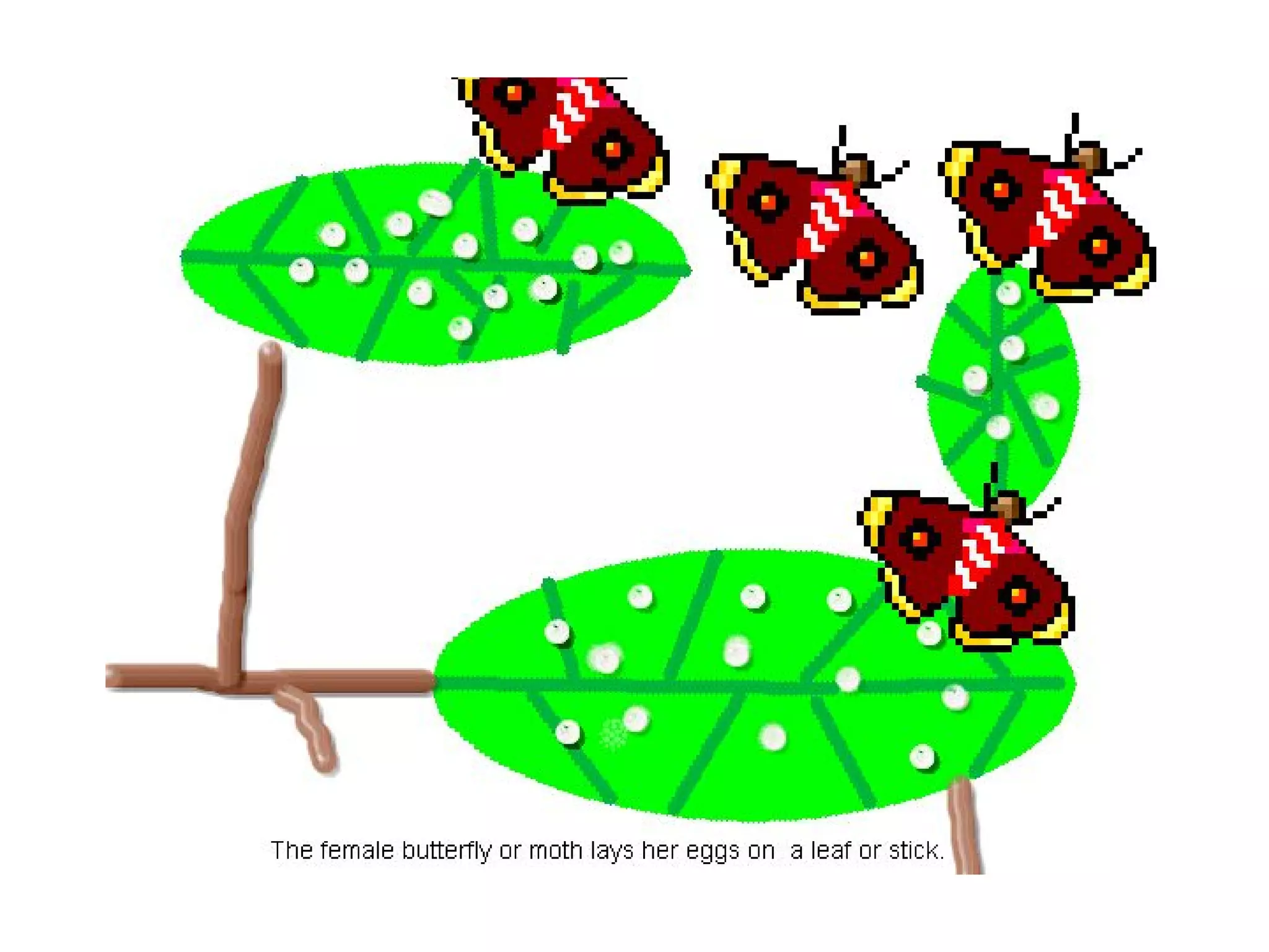 Grade 1 Examples | PPT