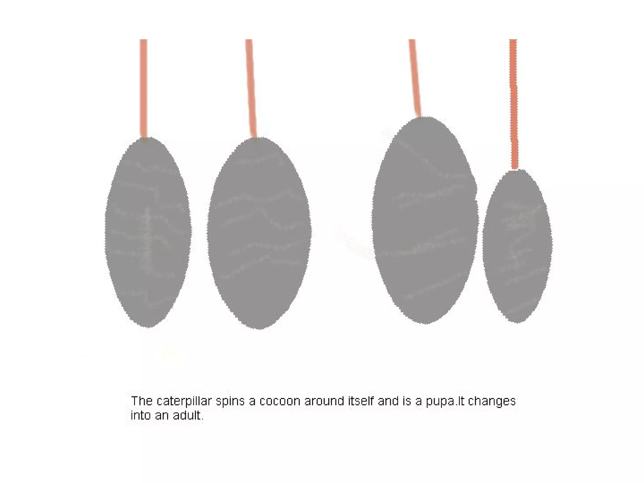 Grade 1 Examples | PPT