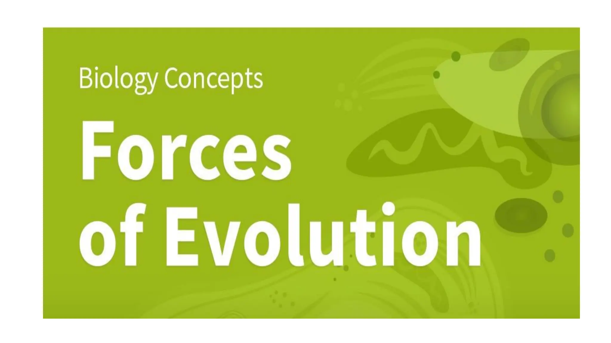 Grade-10-presentation-Forces-of-Evolution.pdf