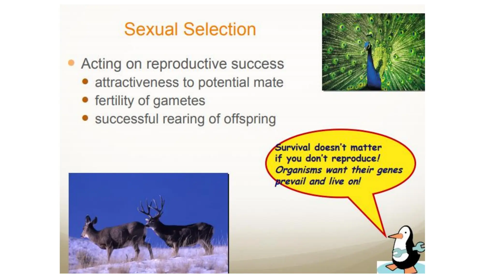 Grade-10-presentation-Forces-of-Evolution.pdf