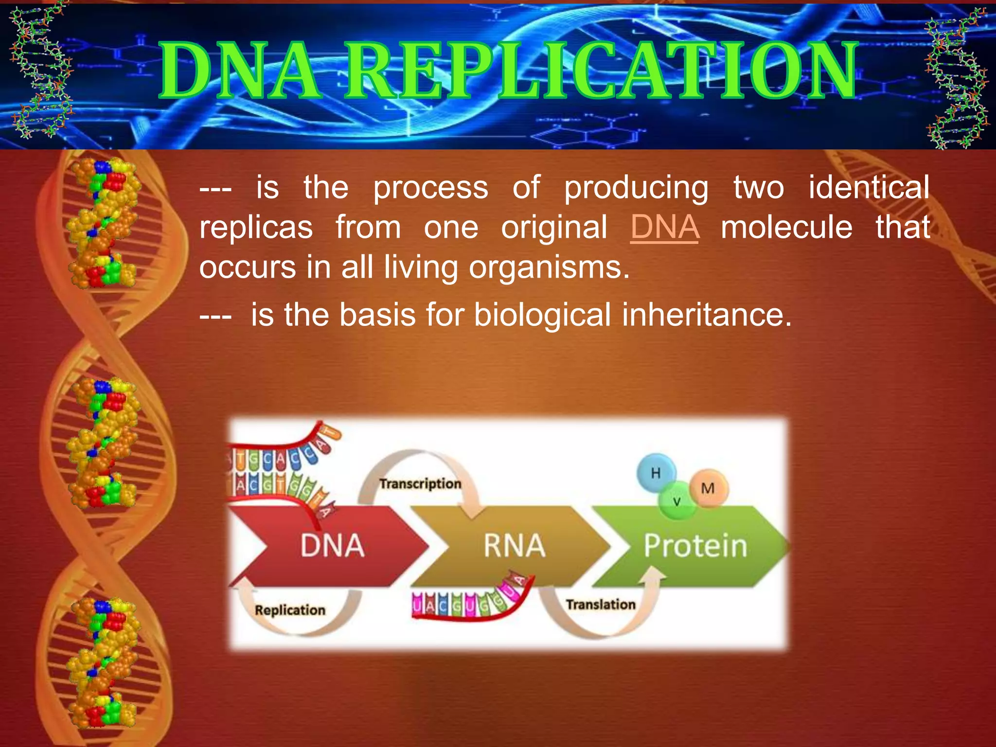 DNA replication, transcription, and translation | PPTX