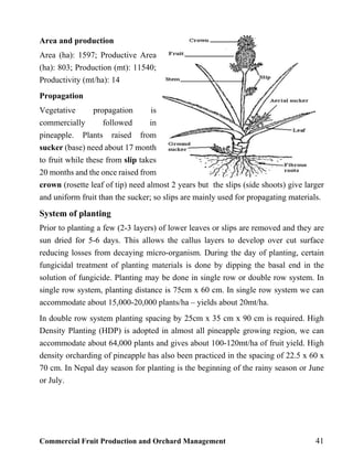 grade-11-commercial-fruit-production-and-orchard-management.pdf