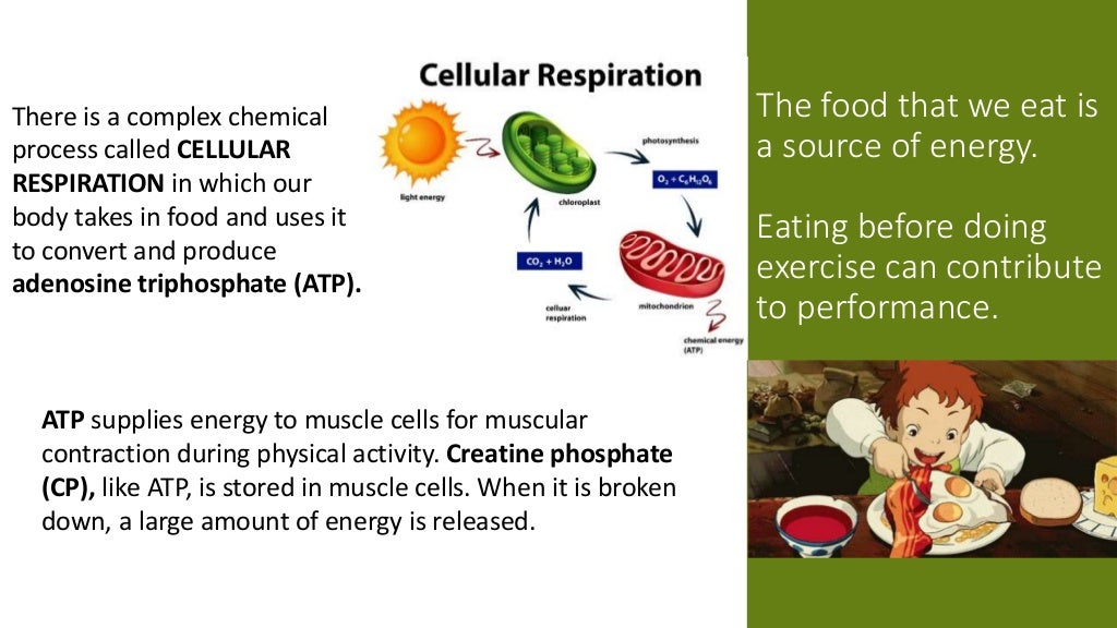GRADE-11-Lesson-2-Energy-Systems (1).pptx
