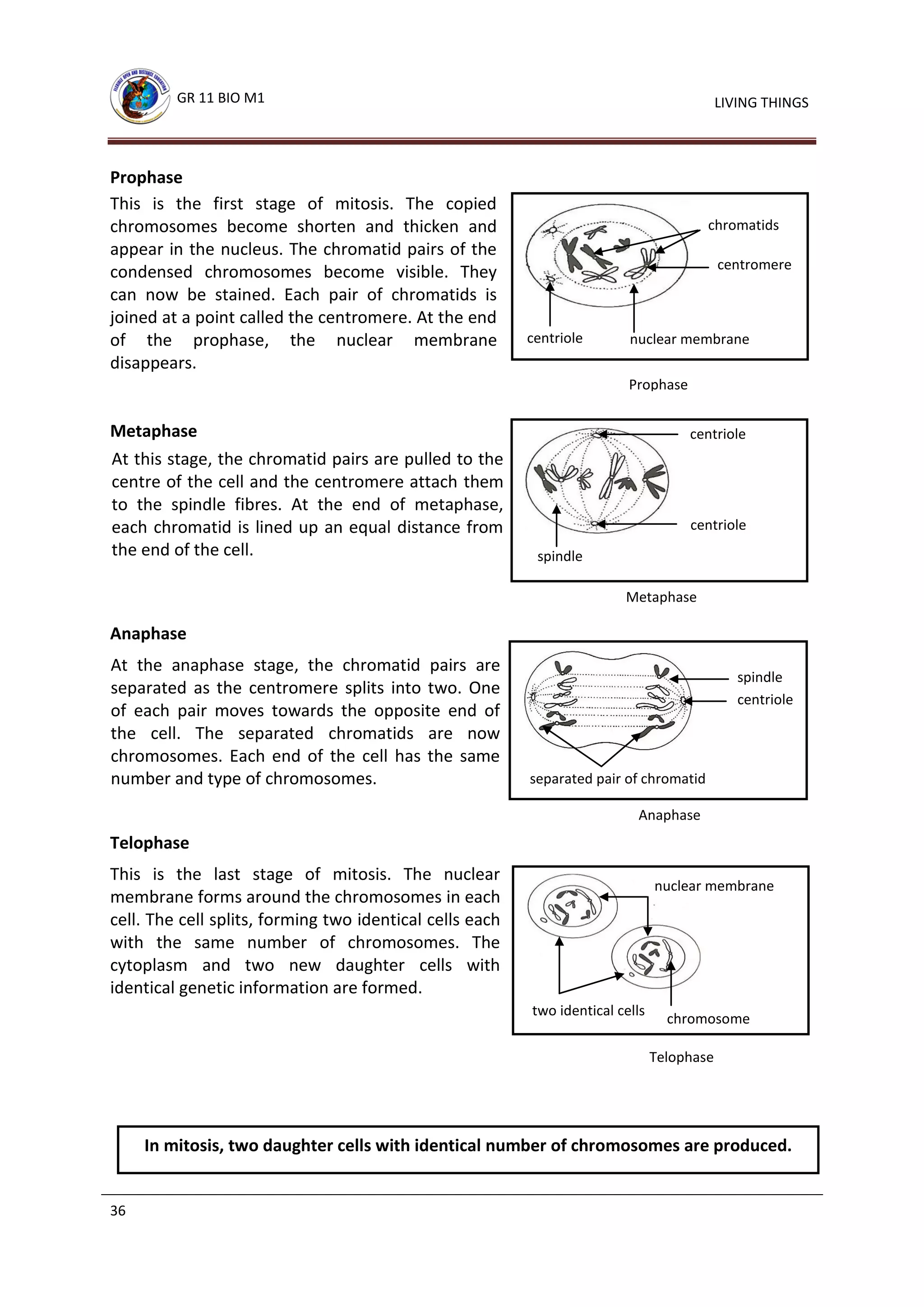 Grade.11.Biology.Module1.pdf
