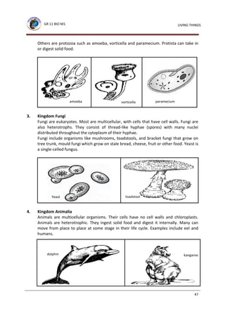 Grade.11.Biology.Module1.pdf