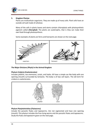 Grade.11.Biology.Module1.pdf