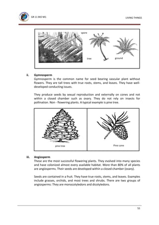 Grade.11.Biology.Module1.pdf