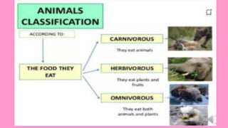GRADE- 3 (CBSE) Science Chapter- 1 Food and Feeding Habits of animals ...