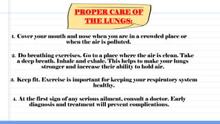 The Respiratory System - the main organs | PPTX