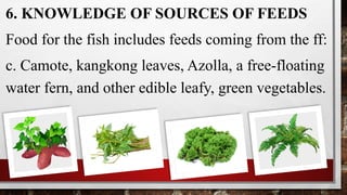 GRADE-6-LESSON-16-BACKYARD-FISHPOND.pptx
