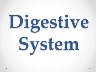 Grade 6-science-digestive-system | PPTX