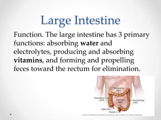 Grade 6-science-digestive-system | PPTX