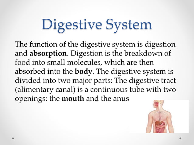 Grade 6-science-digestive-system | PPTX | Digestive Disorders ...