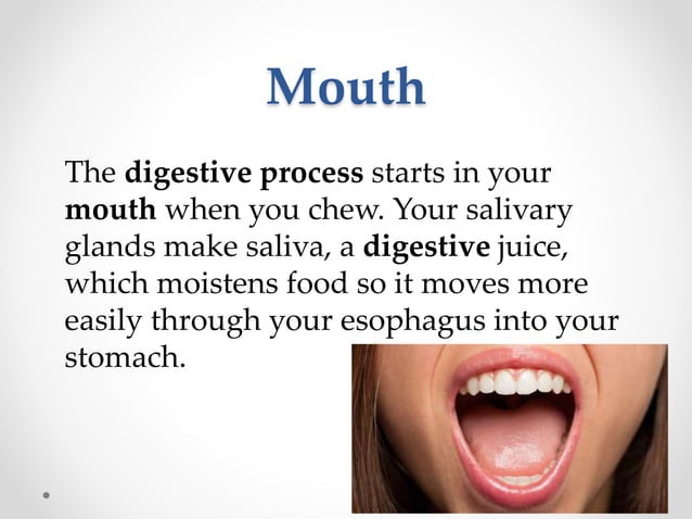 Grade 6-science-digestive-system | PPTX | Digestive Disorders ...