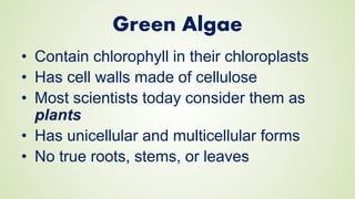 Grade 7-algae | PPTX