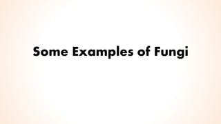 Grade 7-fungi | PPTX