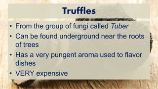 Grade 7-fungi | PPTX
