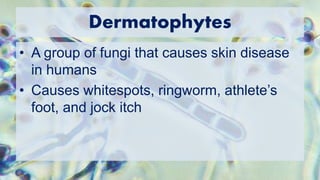 Grade 7-fungi | PPTX