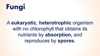 Grade 7-fungi | PPTX